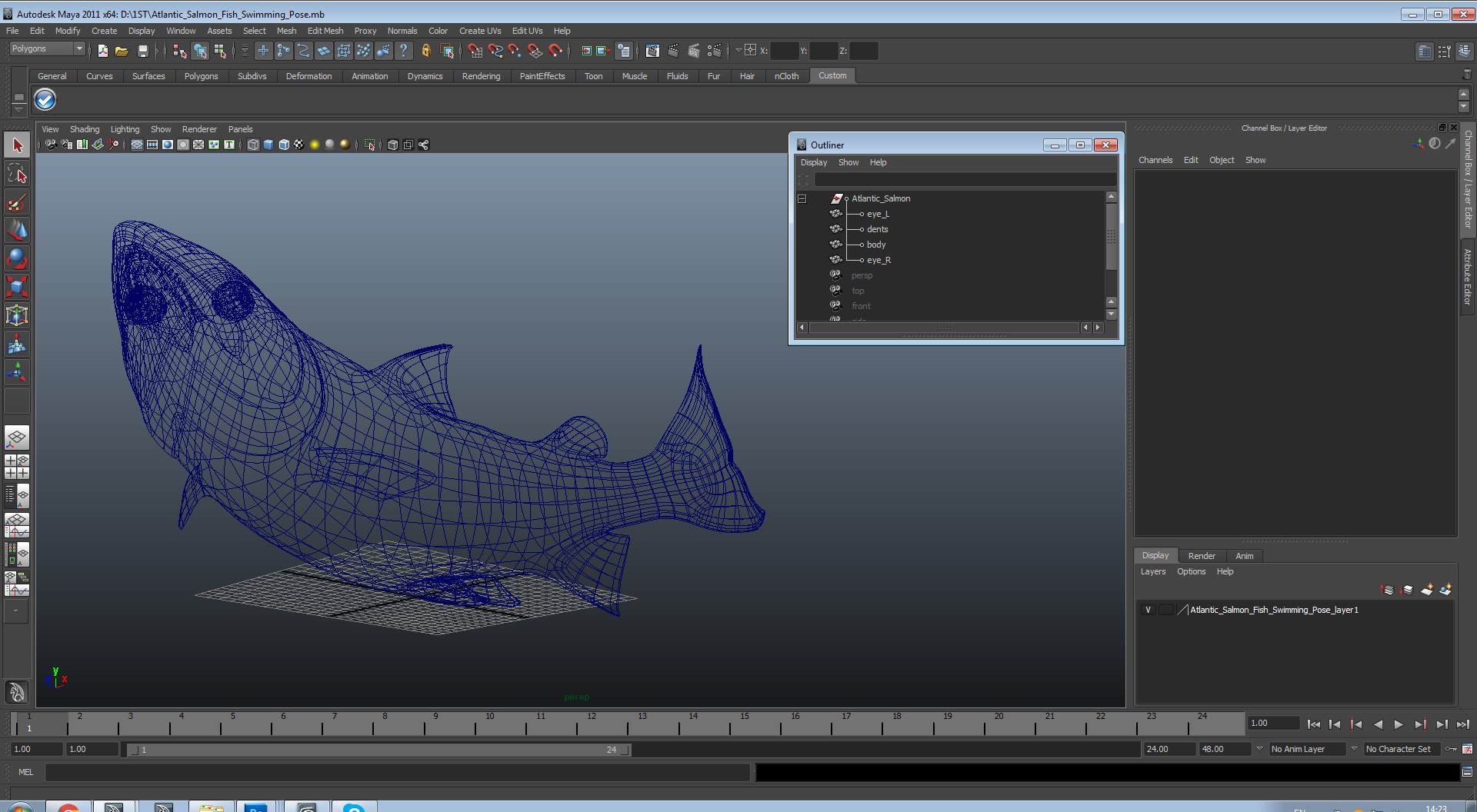 3d atlantic salmon fish swimming model