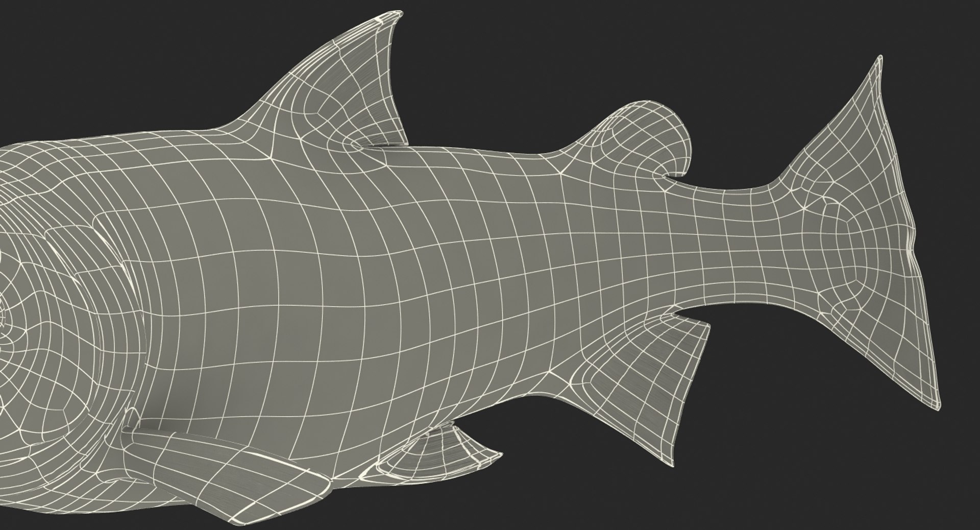 3d atlantic salmon fish swimming model