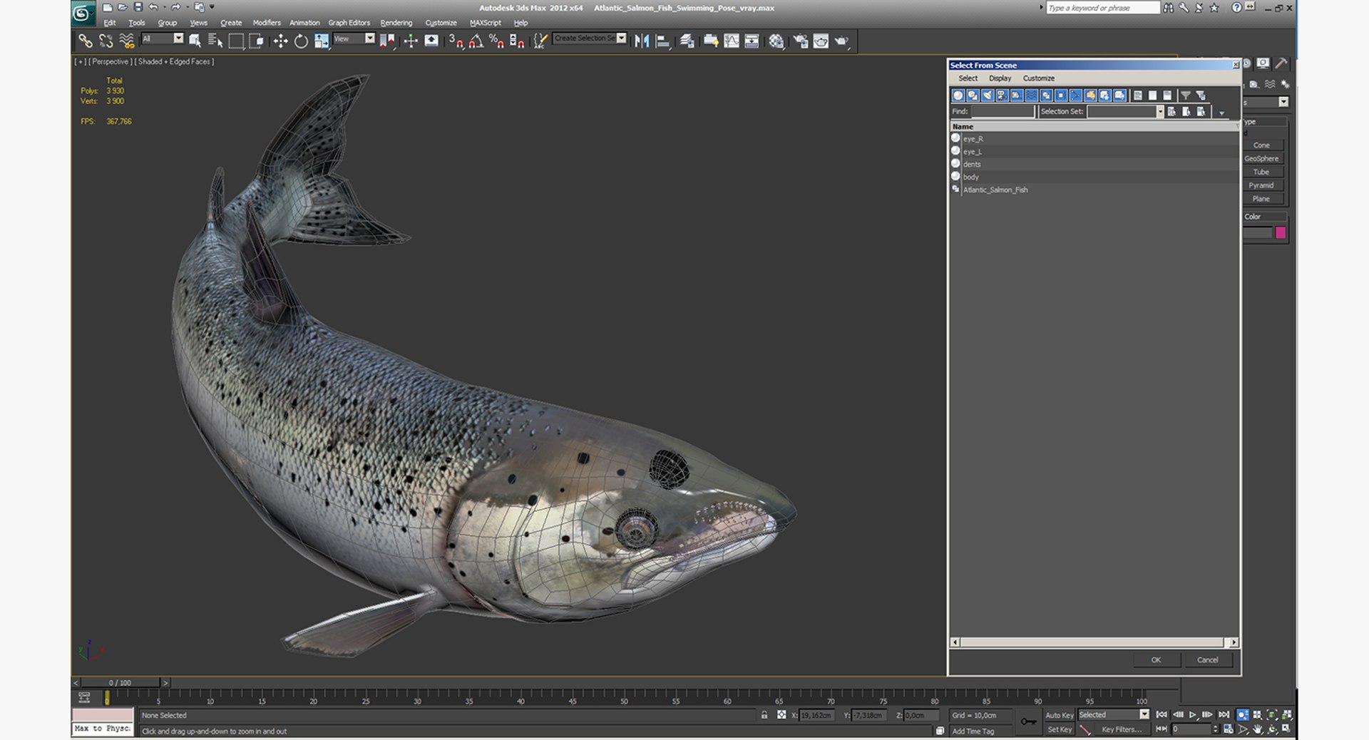 3d atlantic salmon fish swimming model