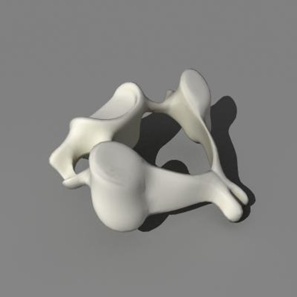 cervical vertebra 3d 3ds