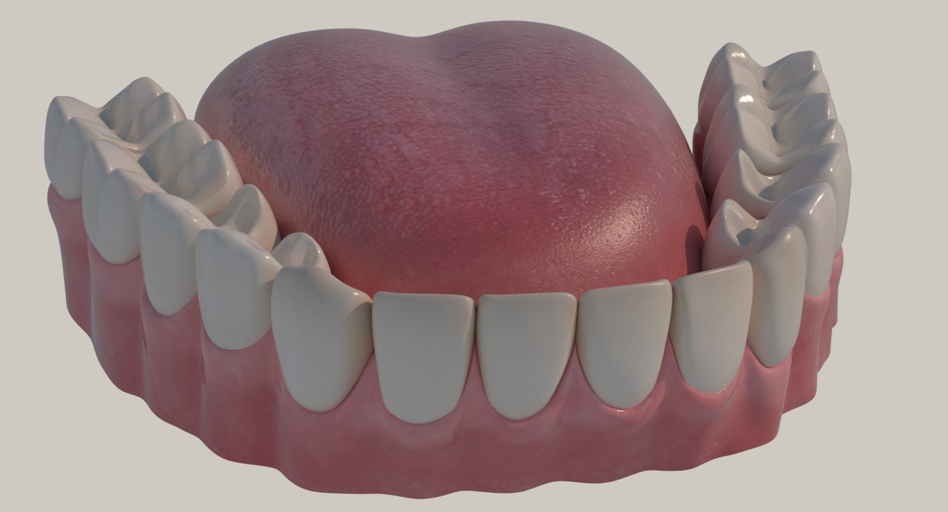 Realistic Human Teeth Obj