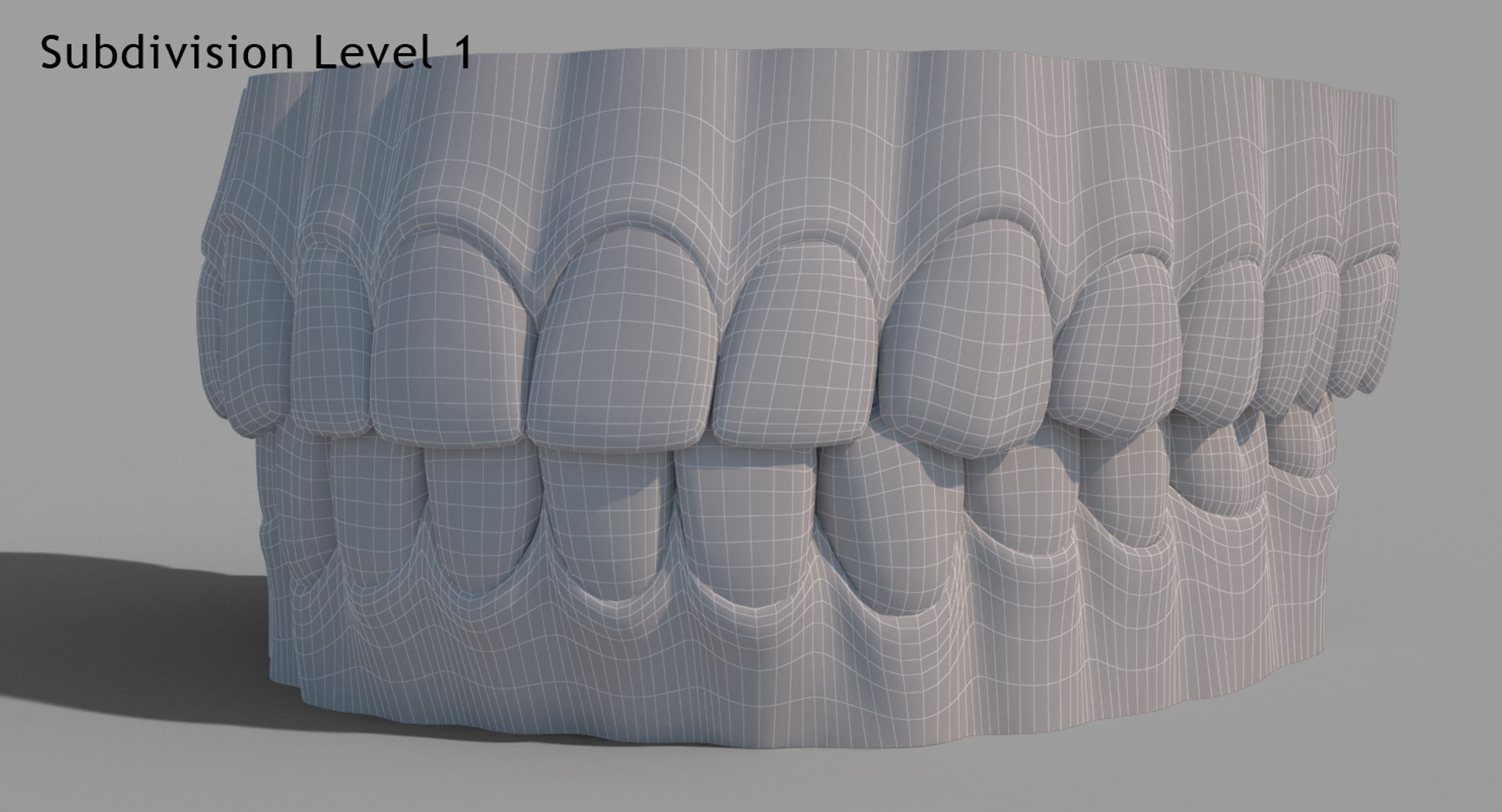 Realistic Human Teeth Obj
