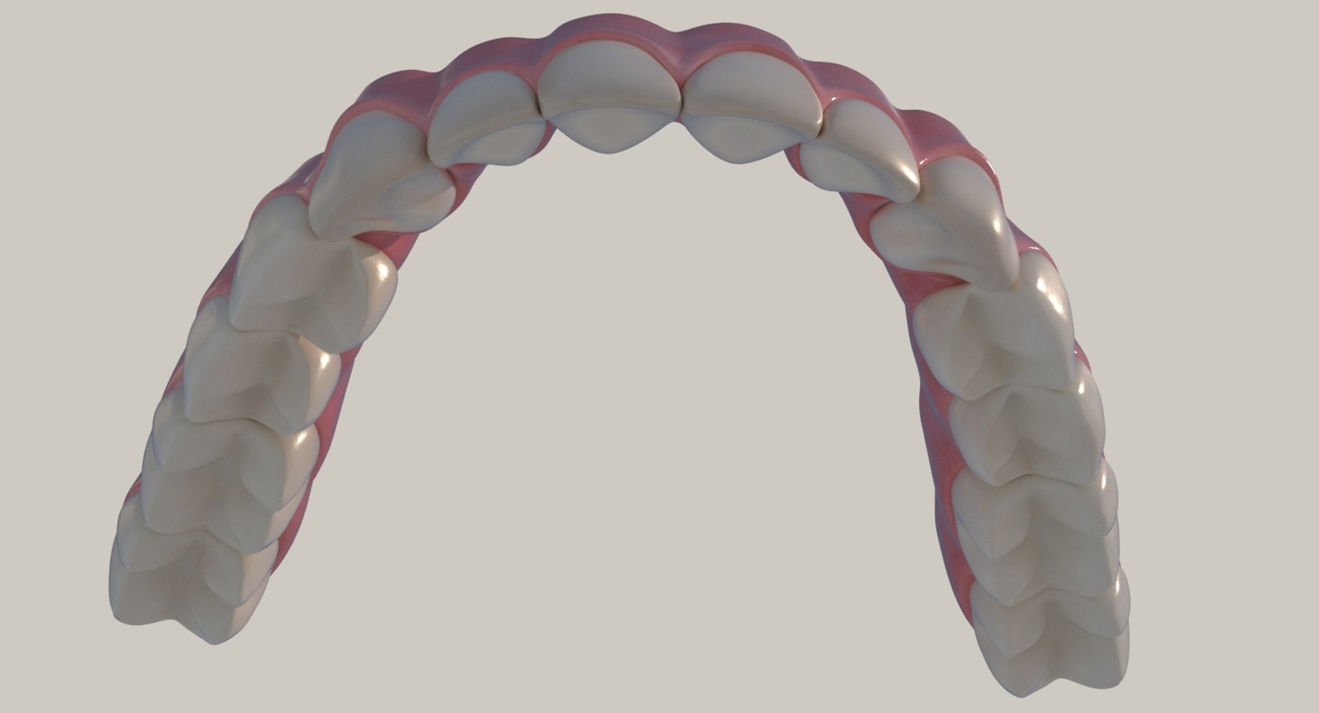 Realistic Human Teeth Obj