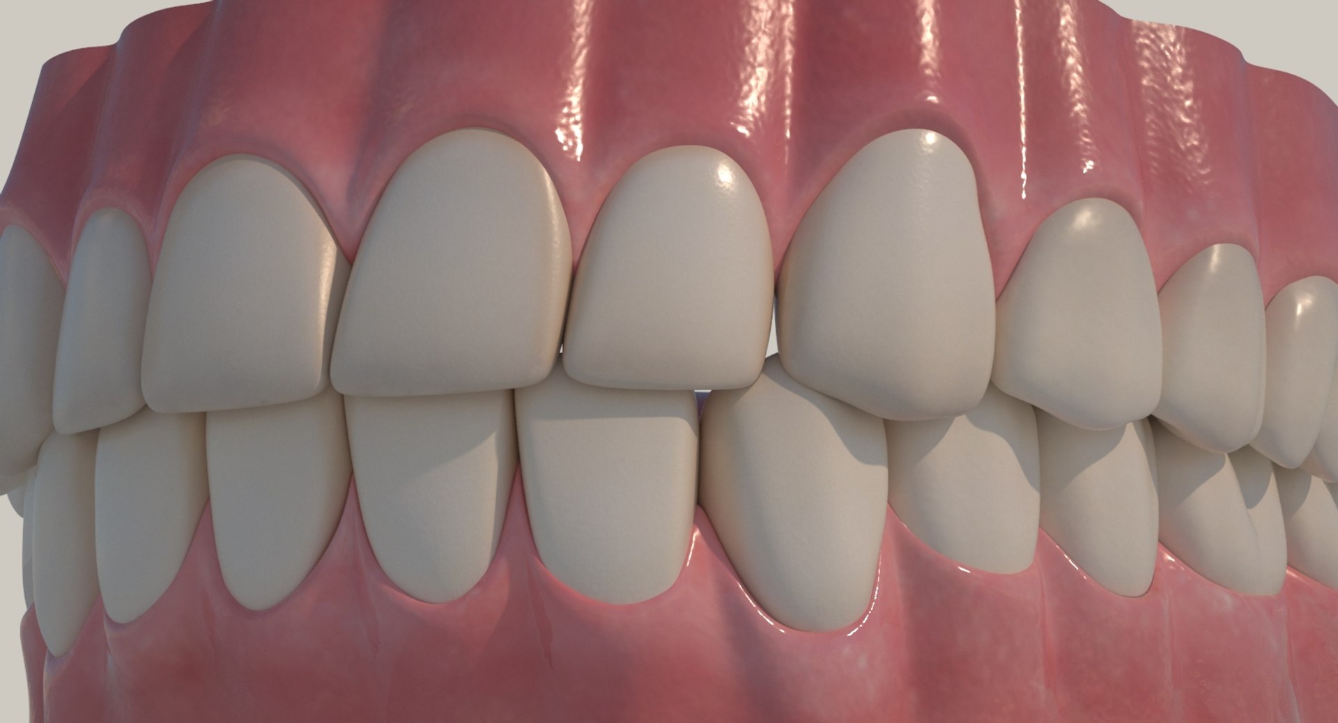 Realistic Human Teeth Obj