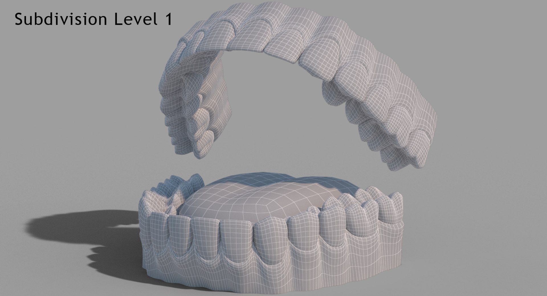 Realistic Human Teeth Obj