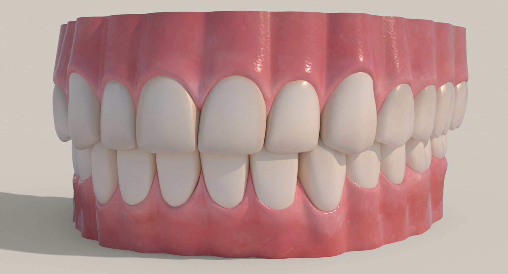 Realistic Human Teeth Obj