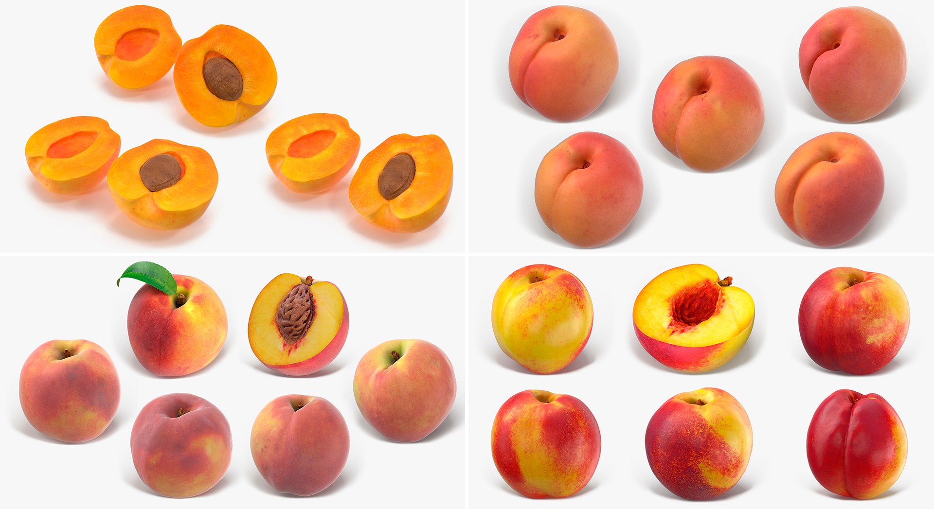 3D model Fruits Collection 02 - 177 models - TurboSquid 1797896