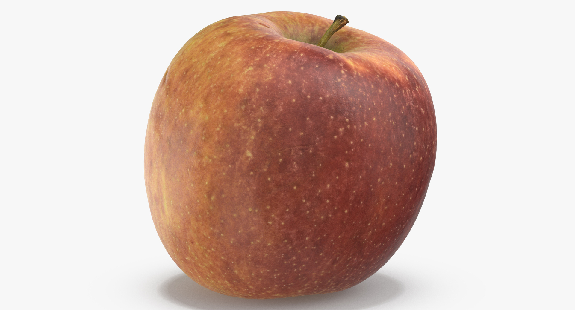 3D model Fruits Collection 02 - 177 models - TurboSquid 1797896