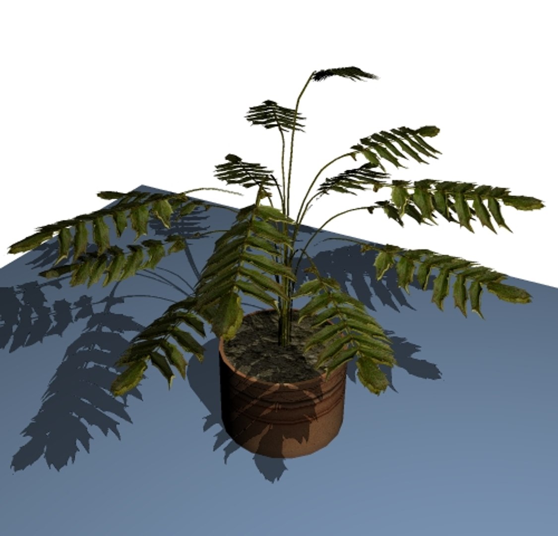 3d Plant