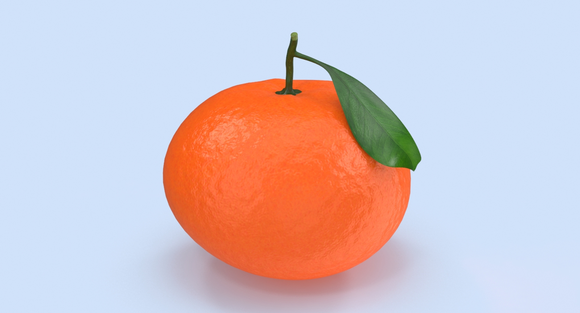 3d Model Tangerine Leaf
