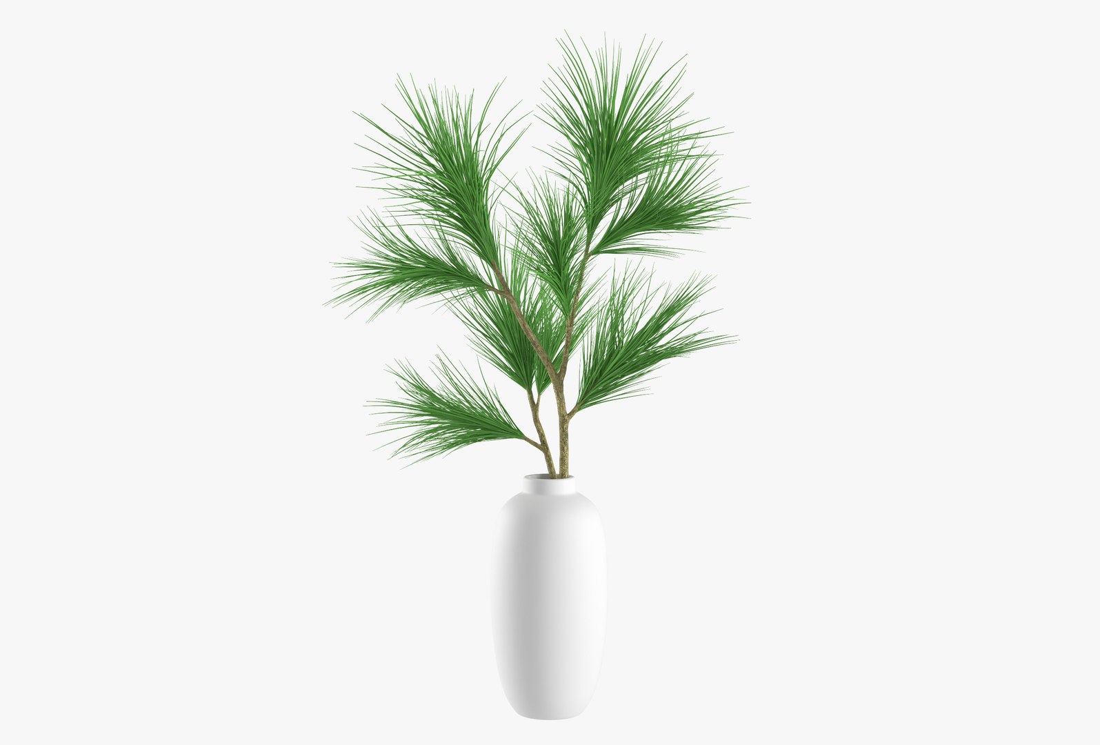Long Needle Pine Branch 3D Model - TurboSquid 1977027