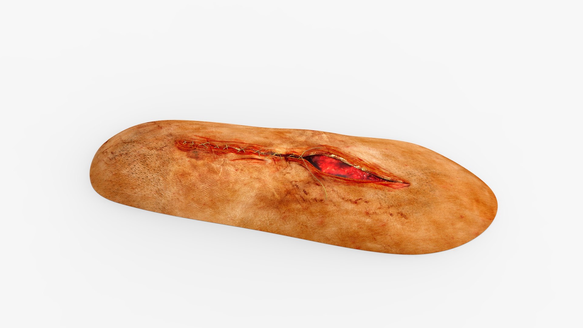 3D Fake Open Wound With Stitch - TurboSquid 1793212