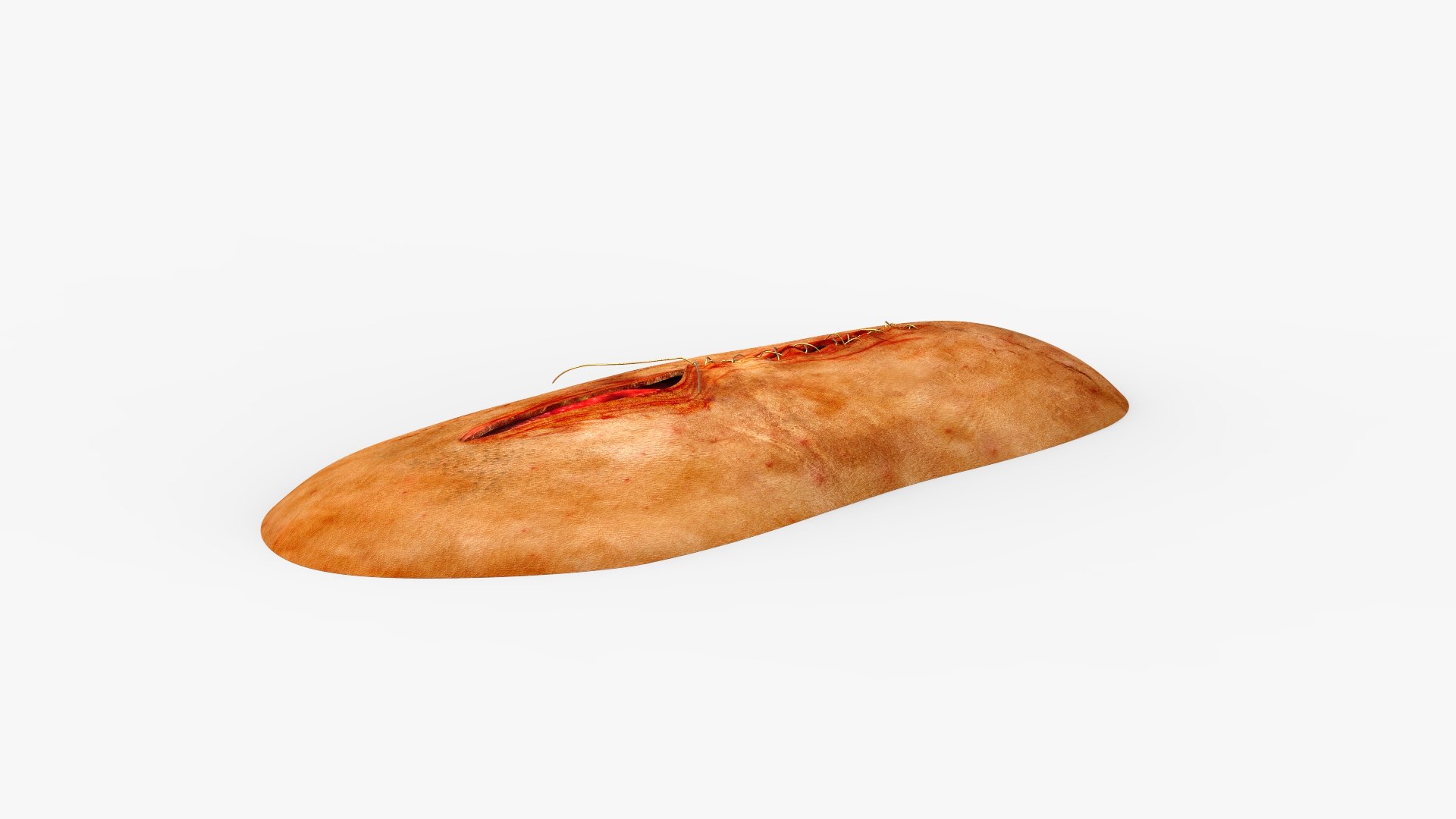 3D Fake Open Wound With Stitch - TurboSquid 1793212