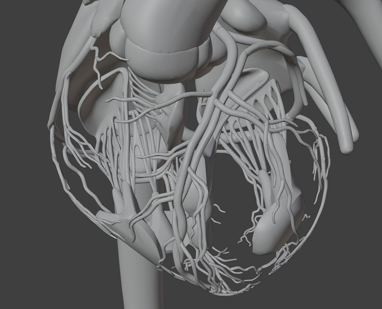3D Heart - TurboSquid 1723980