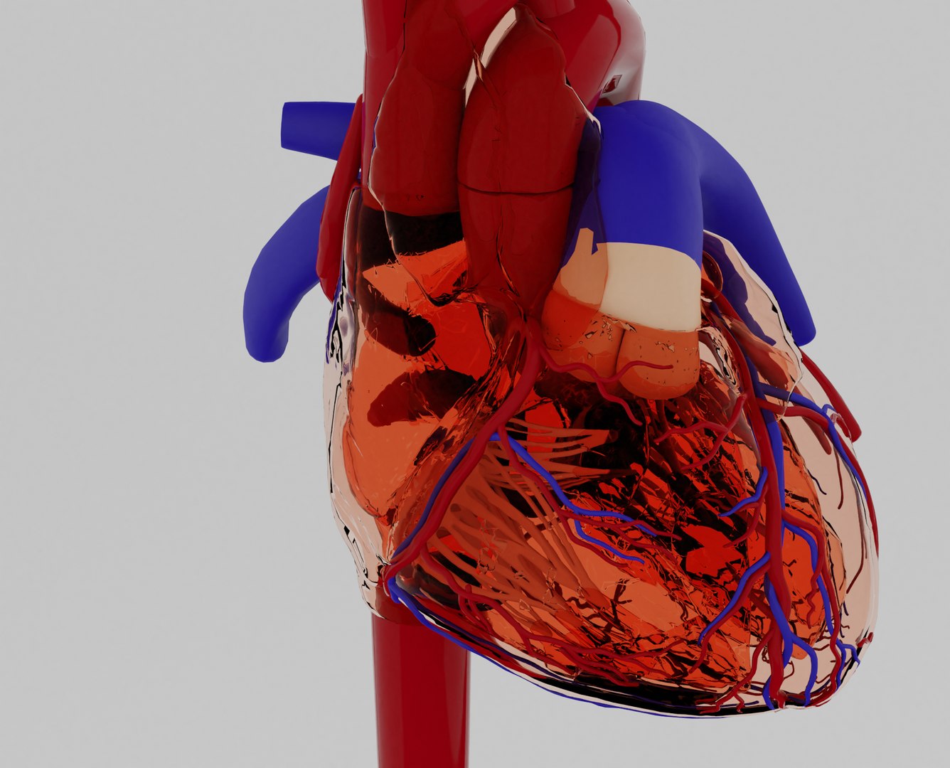 3D Heart - TurboSquid 1723980