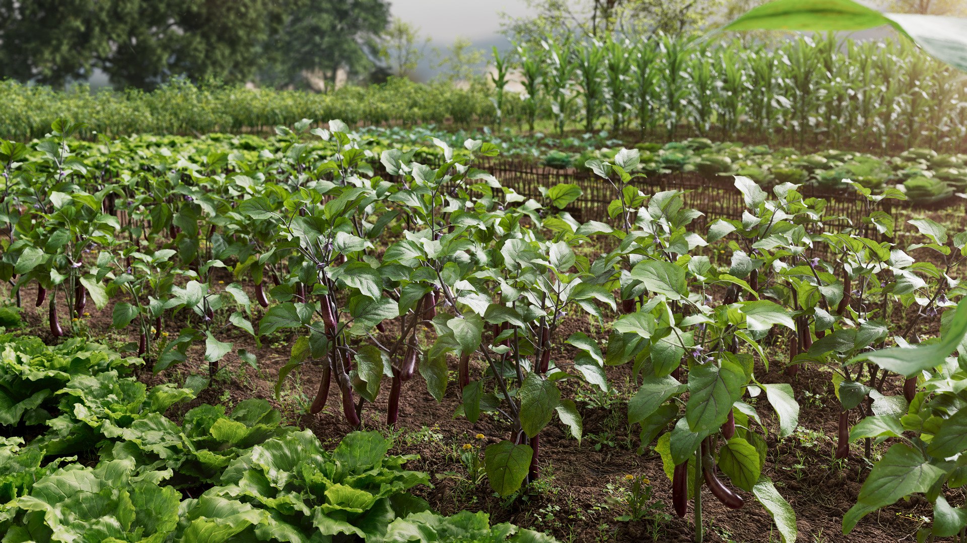 3D Model Vegetables Plant - TurboSquid 1621352