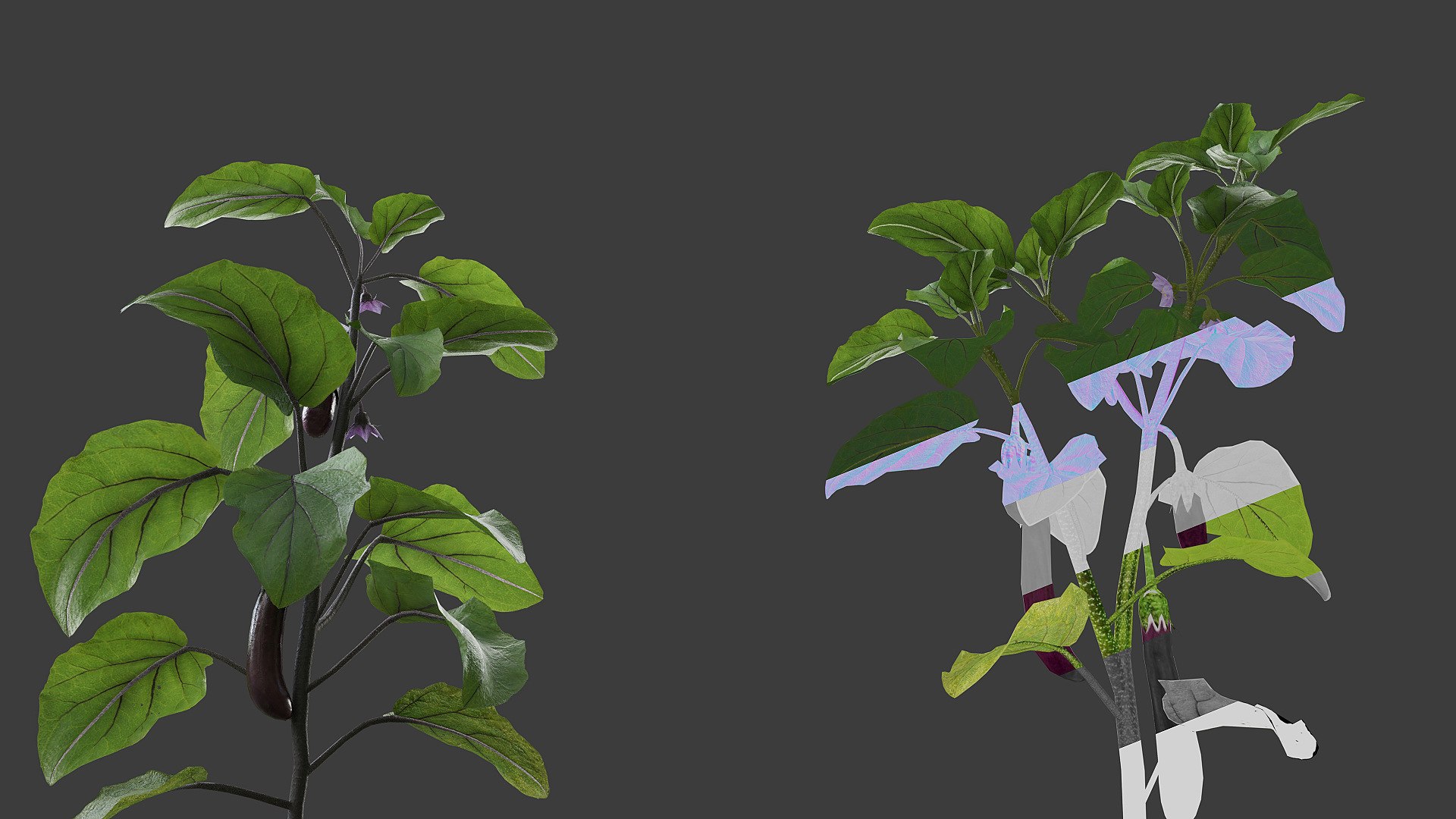 3D Model Vegetables Plant - TurboSquid 1621352