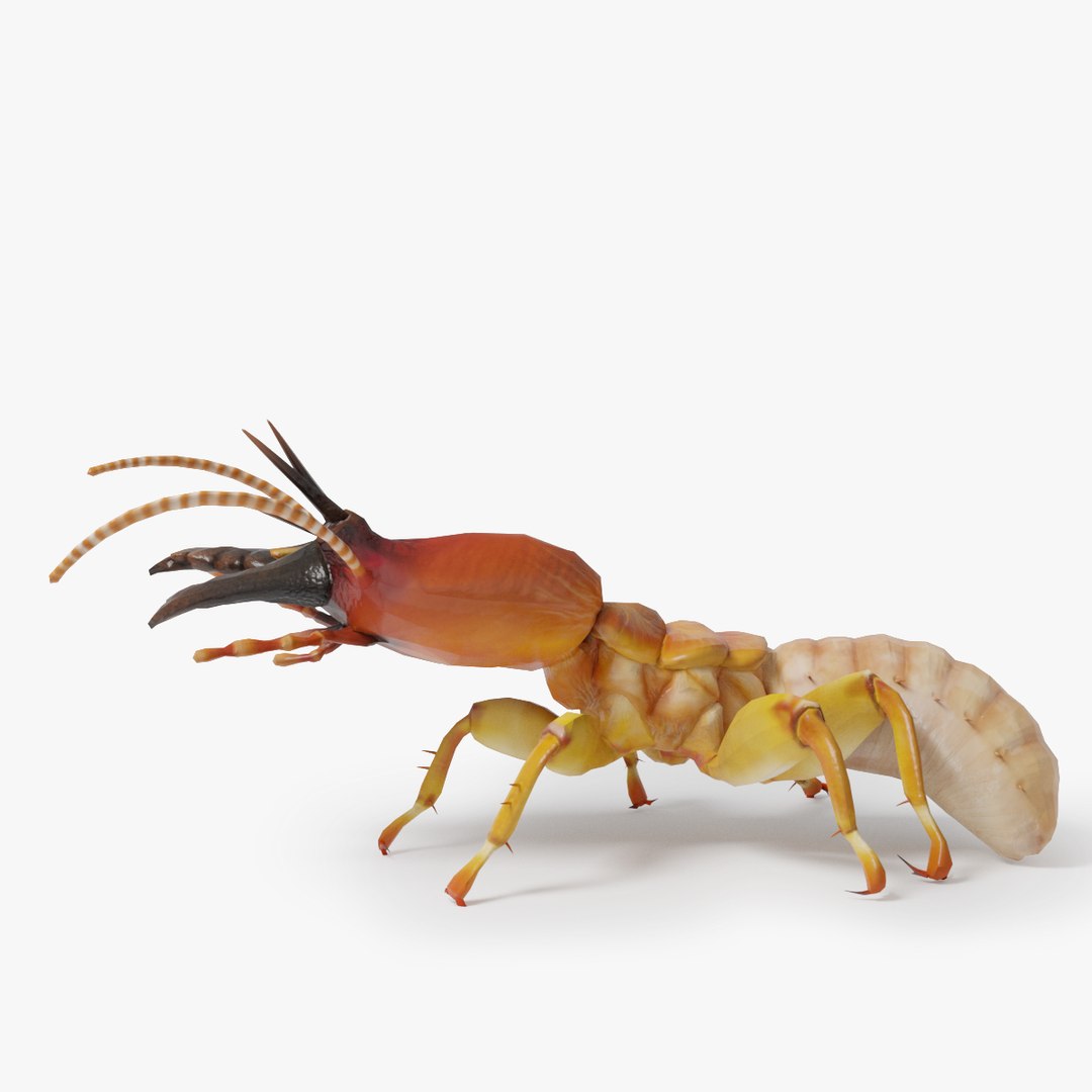 3D termite monster mouth parts - TurboSquid 1660789