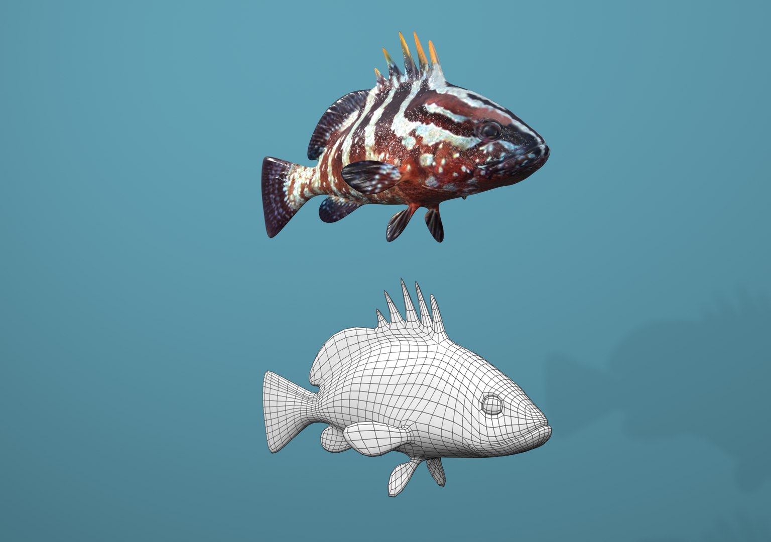 3D Nassau Grouper - TurboSquid 1722004