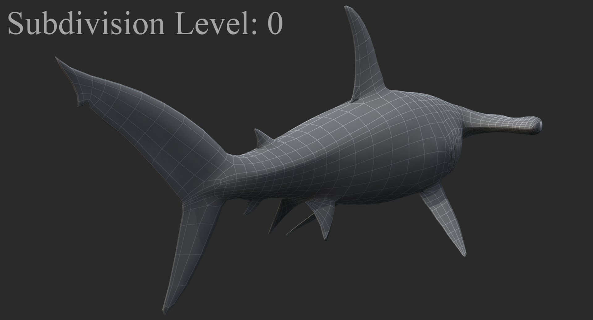 Realistic Hammerhead Shark 3d Model