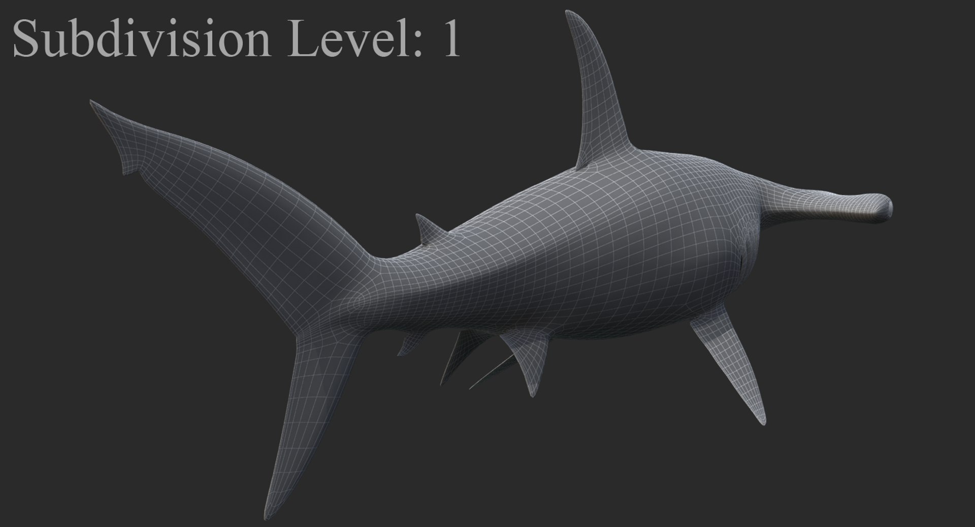 Realistic Hammerhead Shark 3d Model