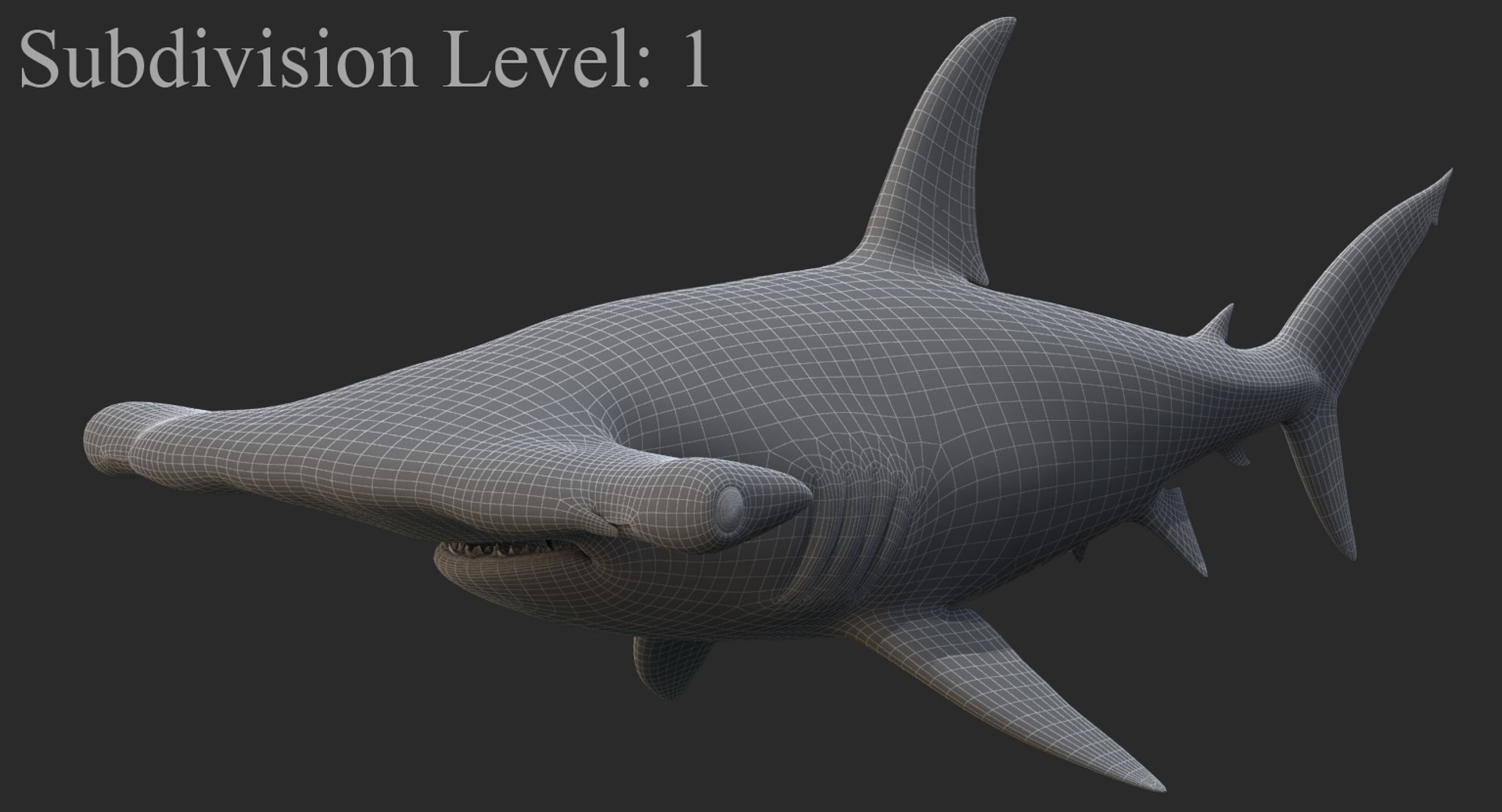 Realistic Hammerhead Shark 3d Model