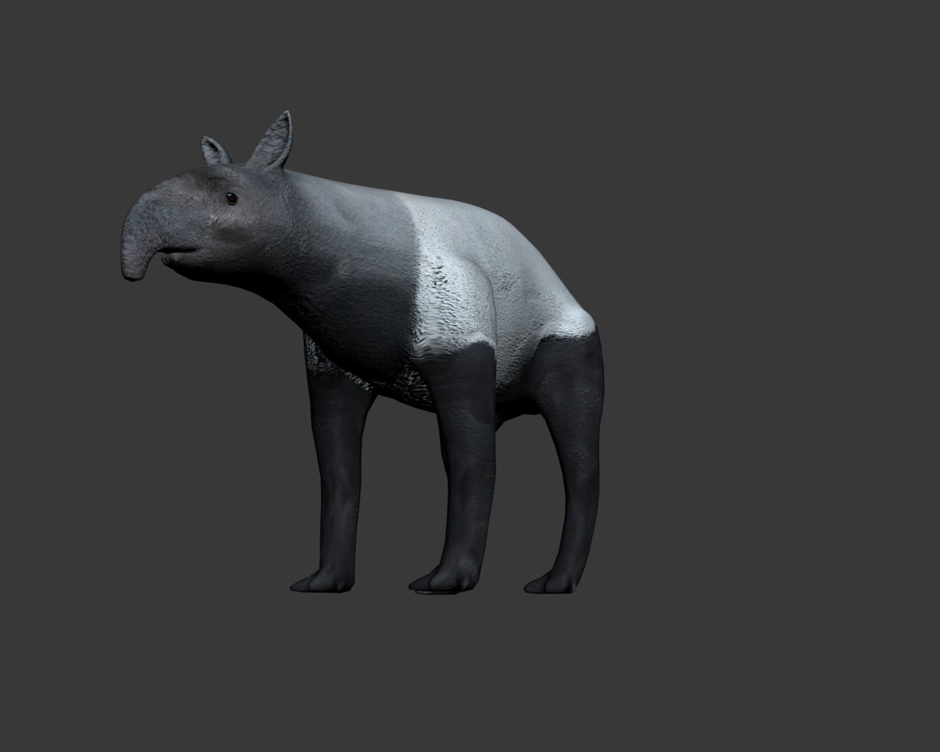 3d Malayan Tapir Model