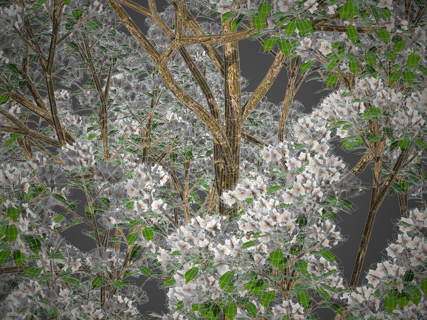 3D 2021 PBR Sour Cherry Collection - Prunus Cerasus Model - TurboSquid ...