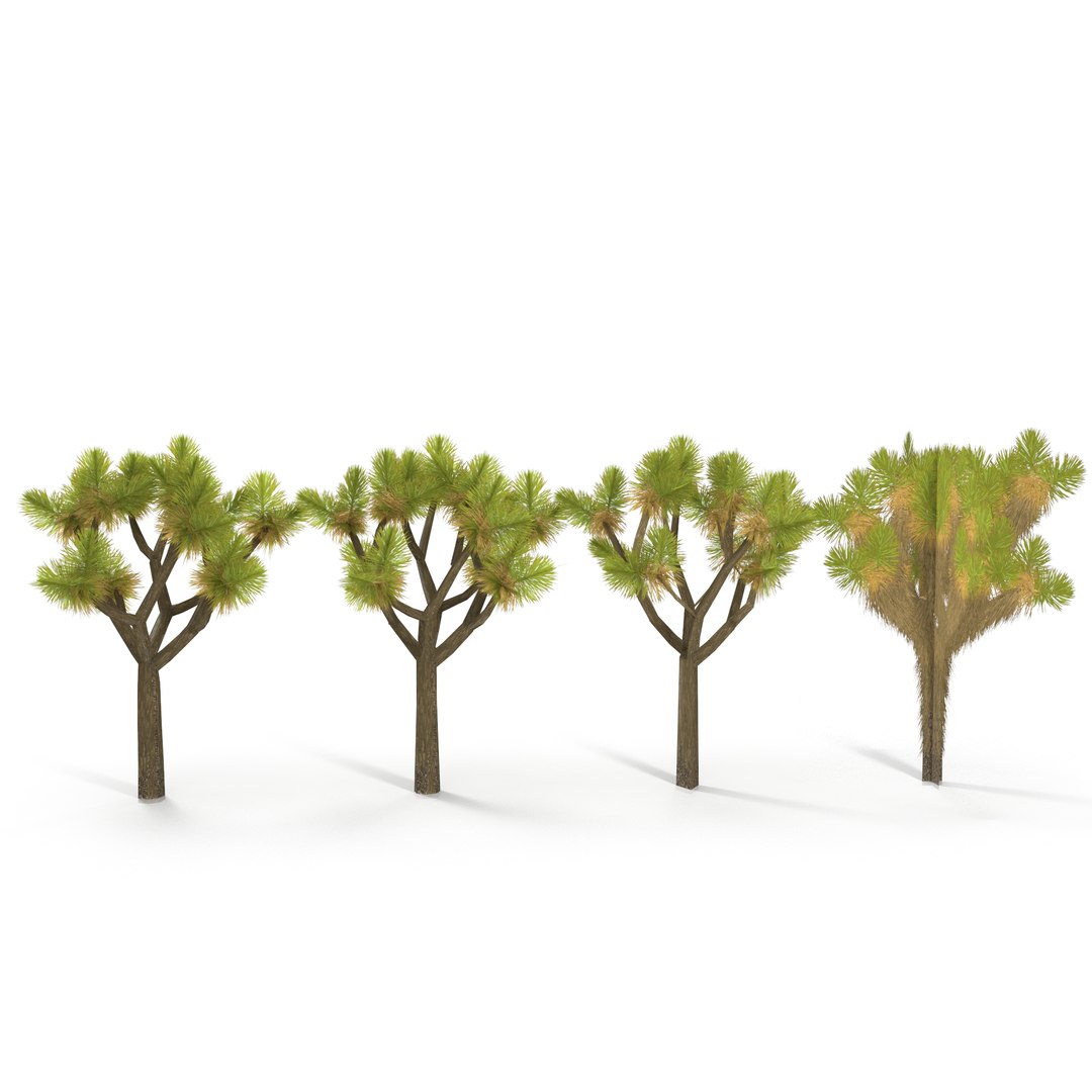 3D Joshua Tree Low Poly Model - TurboSquid 2286847
