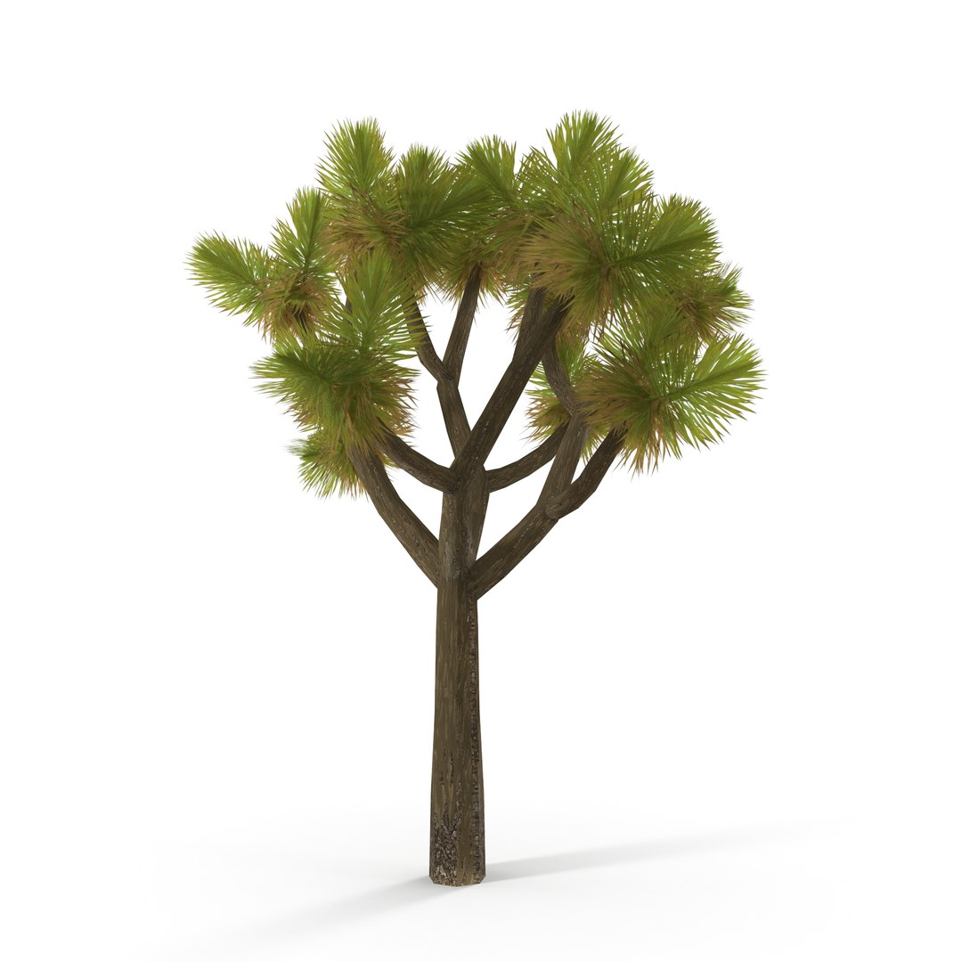 3D Joshua Tree Low Poly Model - TurboSquid 2286847