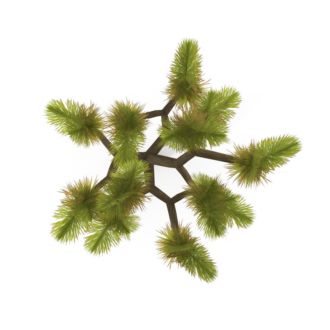 3D Joshua Tree Low Poly Model - TurboSquid 2286847