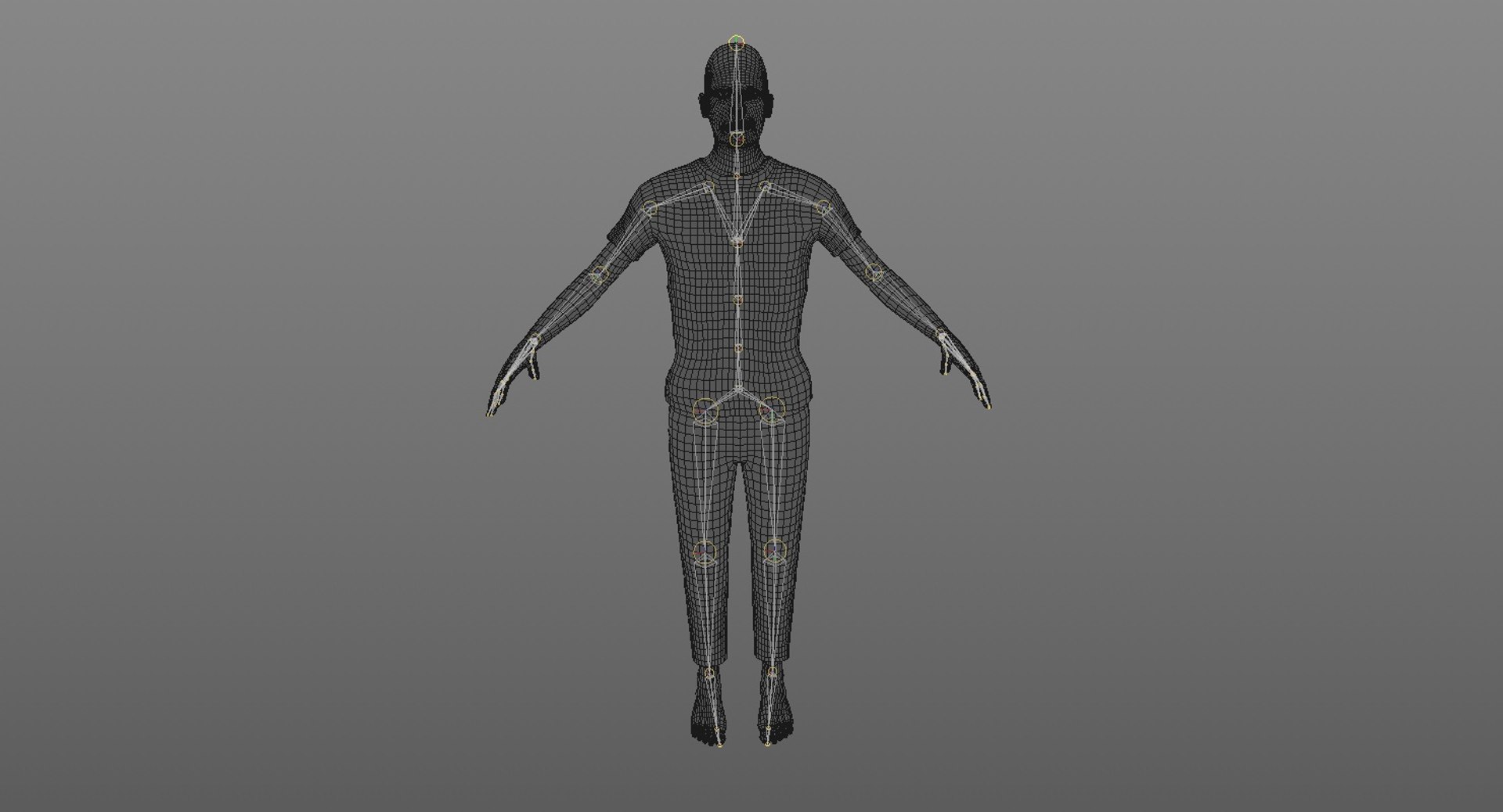 Zombie Rigged 3d Model