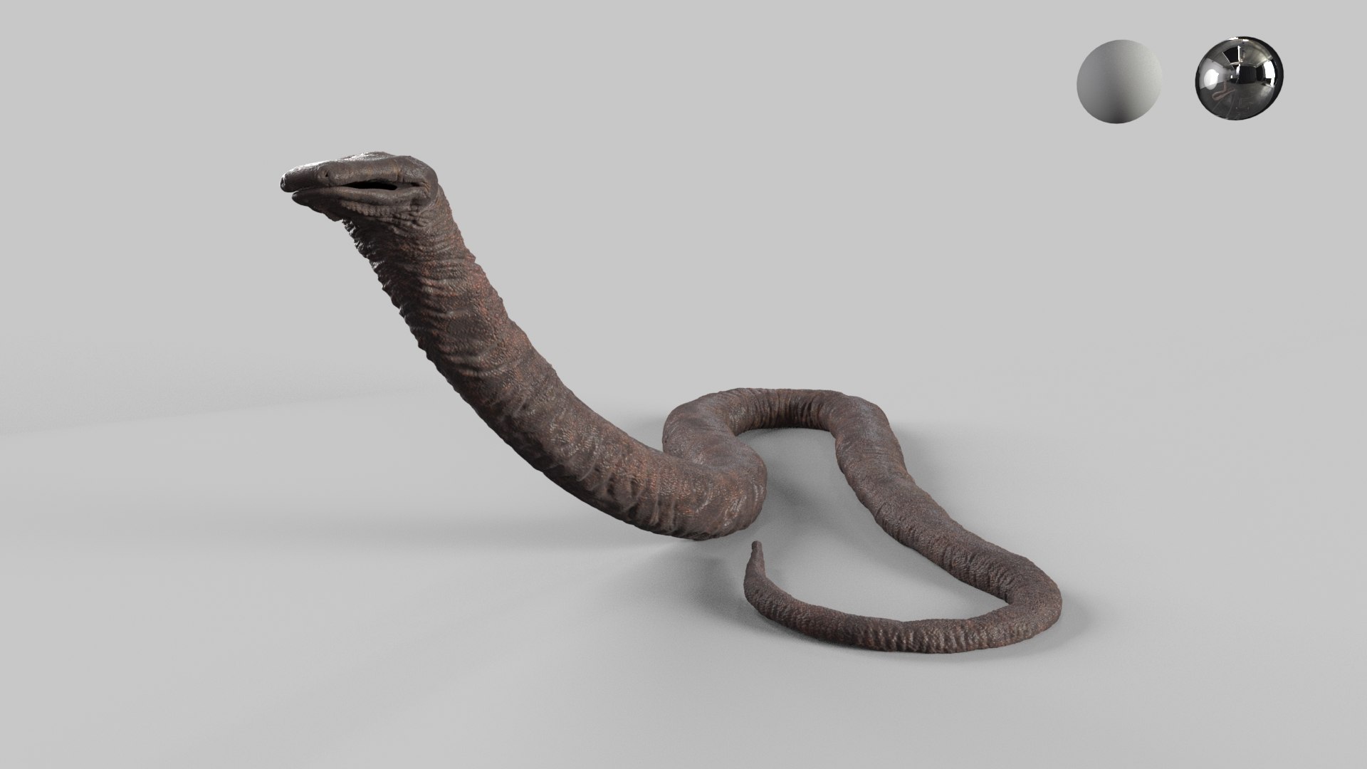 Atretochoana Eiselti Model - TurboSquid 1544116