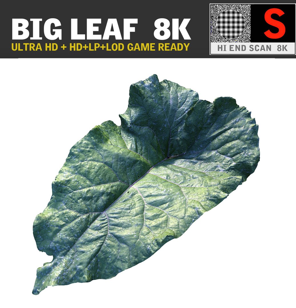 Max Ultra Hd 8k Leaf