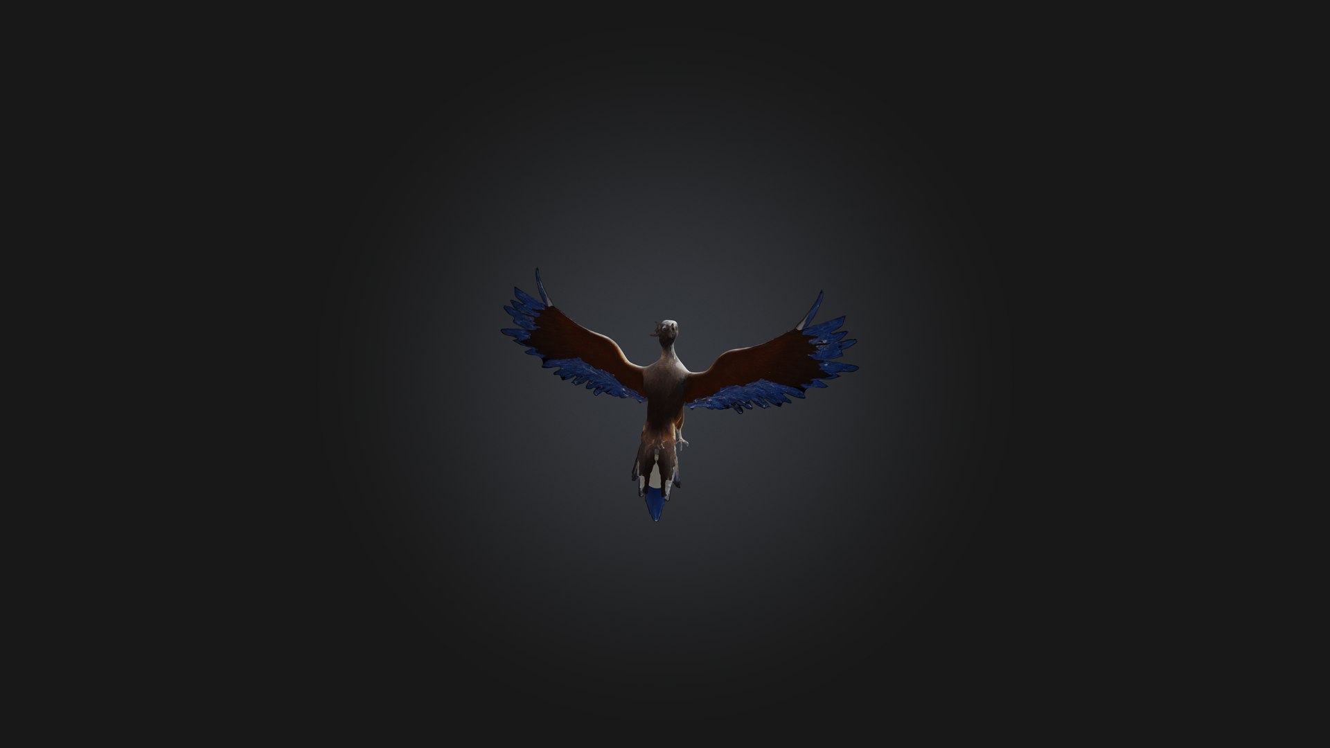Phoenix 3D Model - TurboSquid 2290755