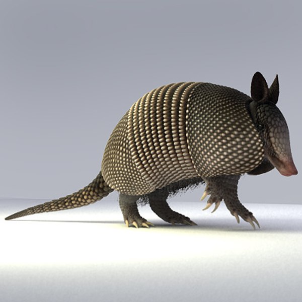 modelo 3d armadillo - TurboSquid 377102