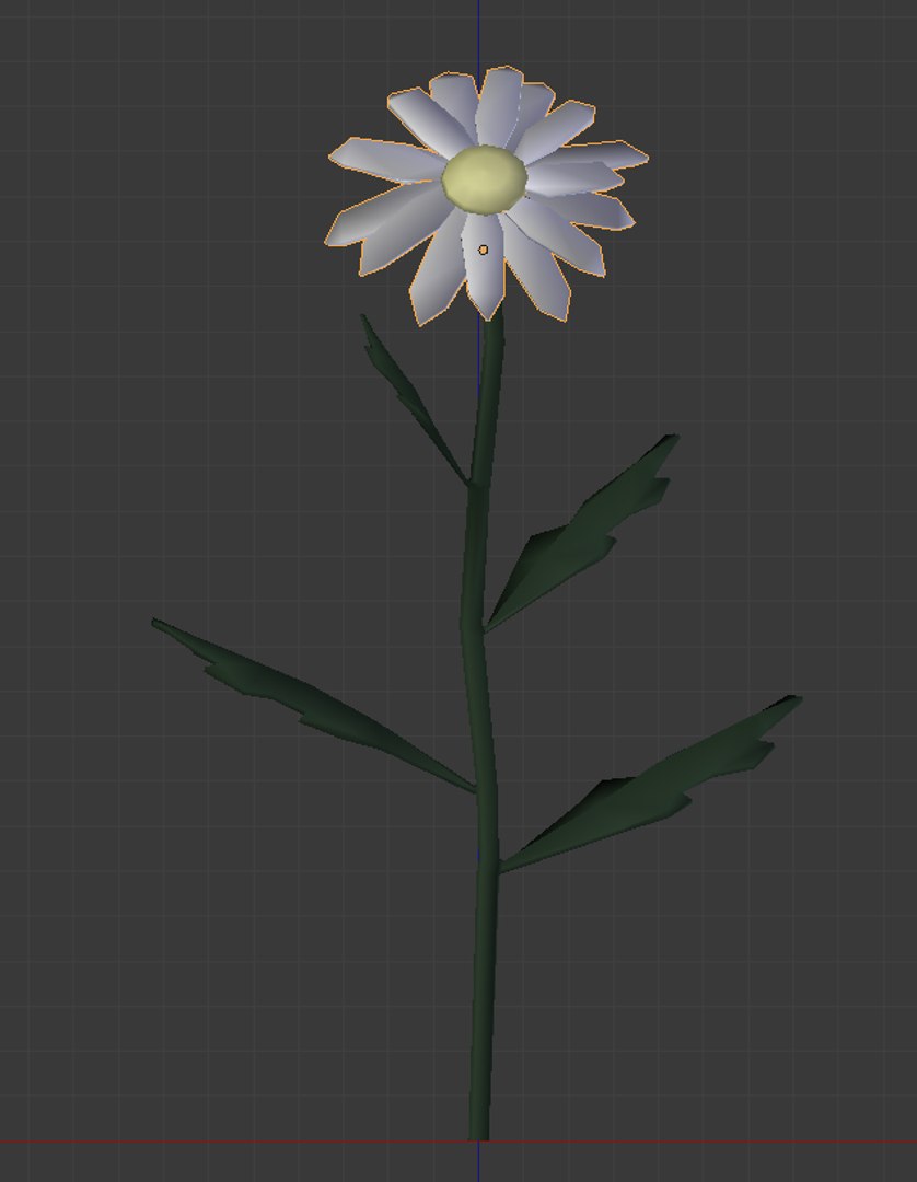 Chamomile 3d Model