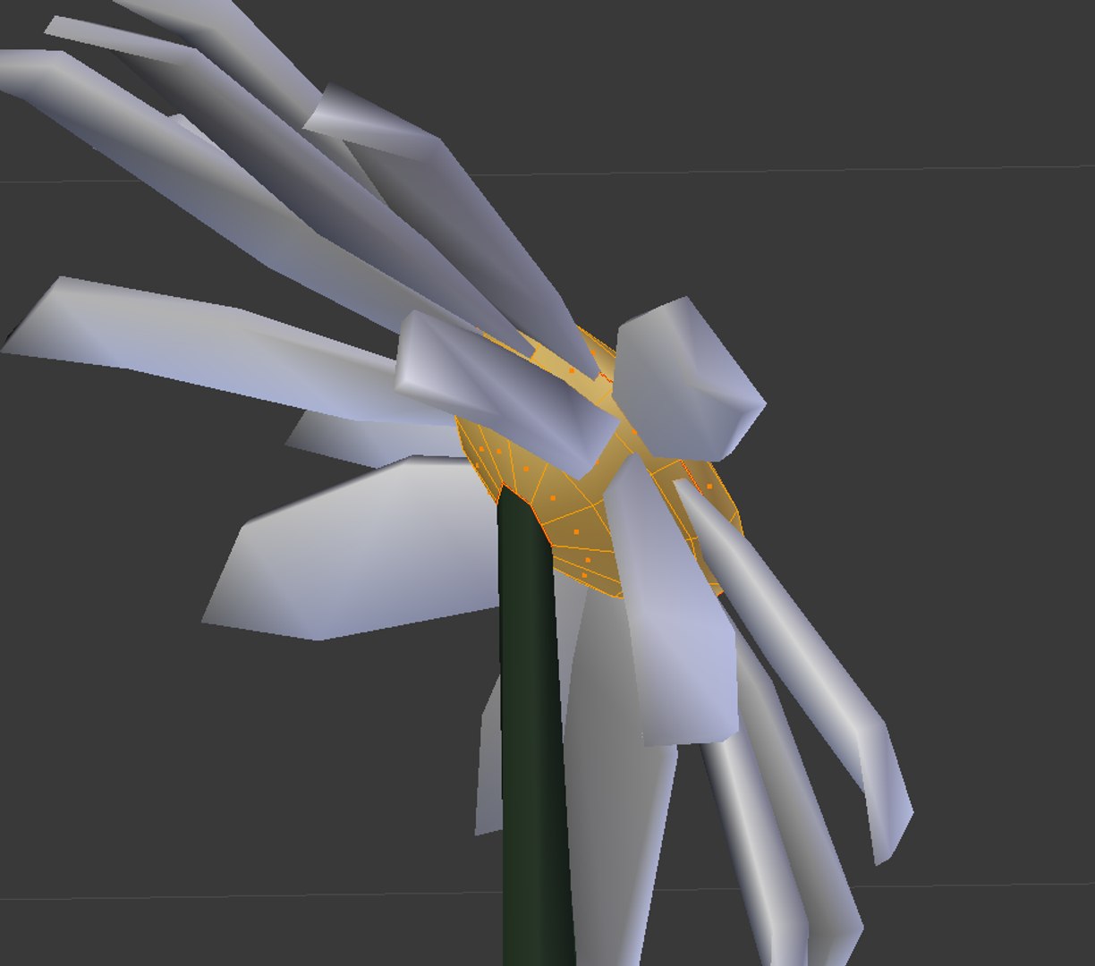 Chamomile 3d Model