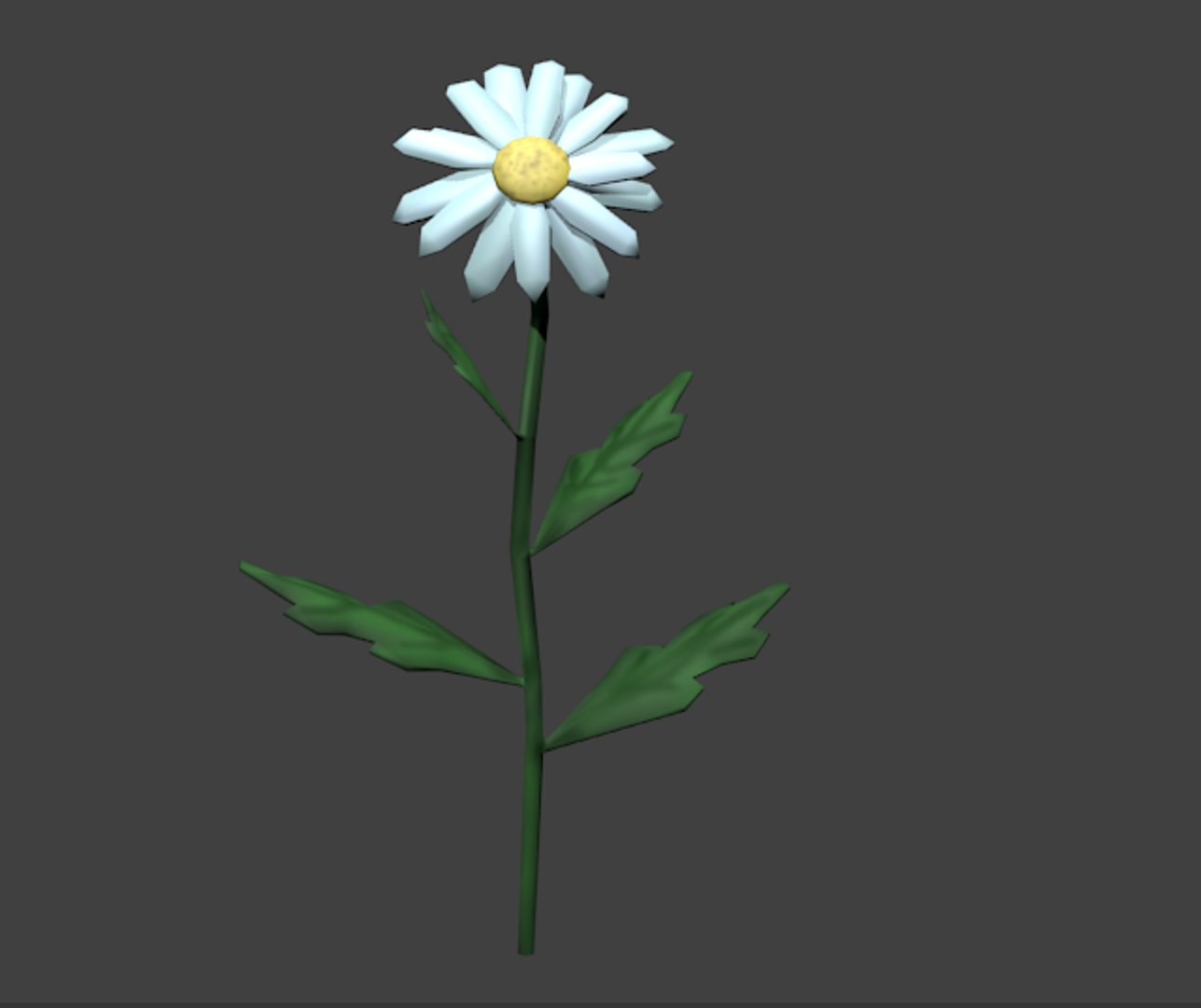 Chamomile 3d Model