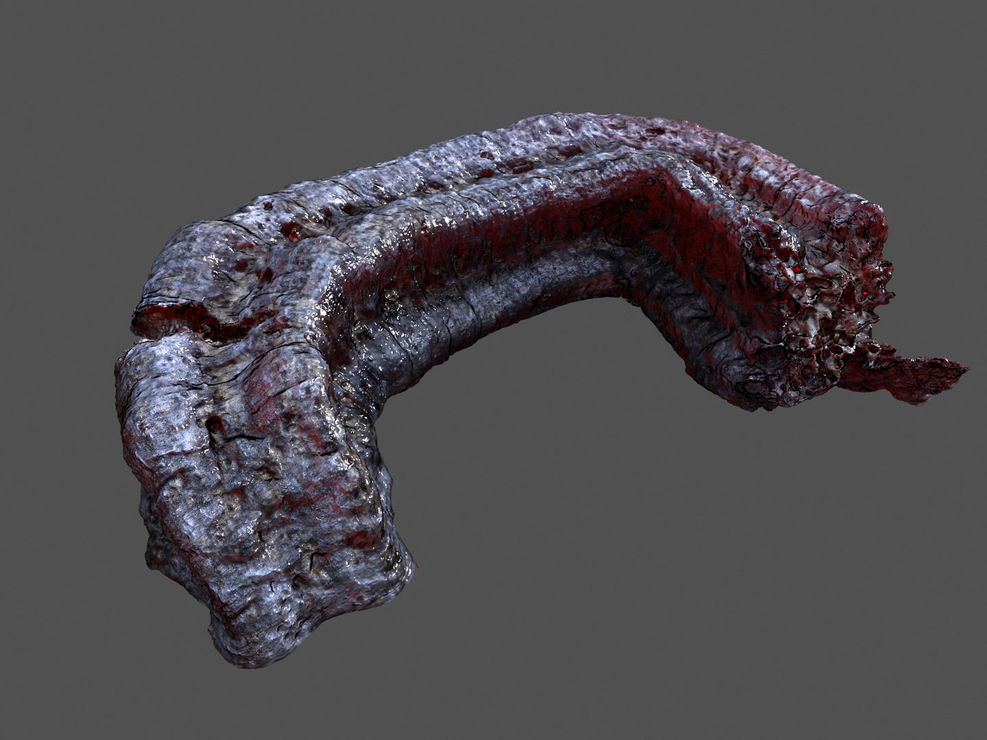3d Alien Meat Tentacle