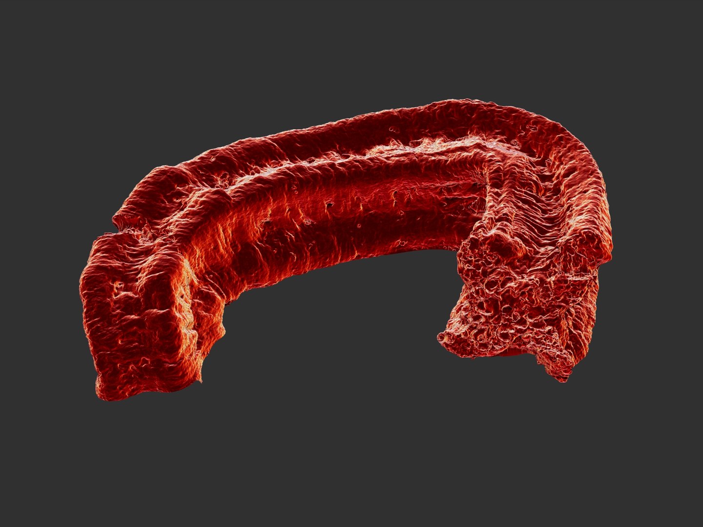 3d Alien Meat Tentacle