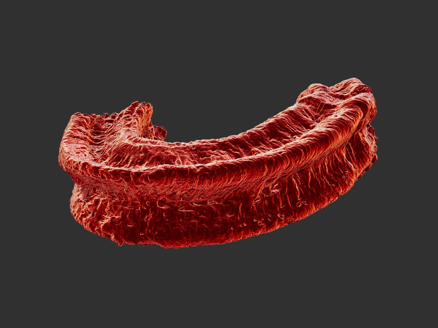 3d Alien Meat Tentacle