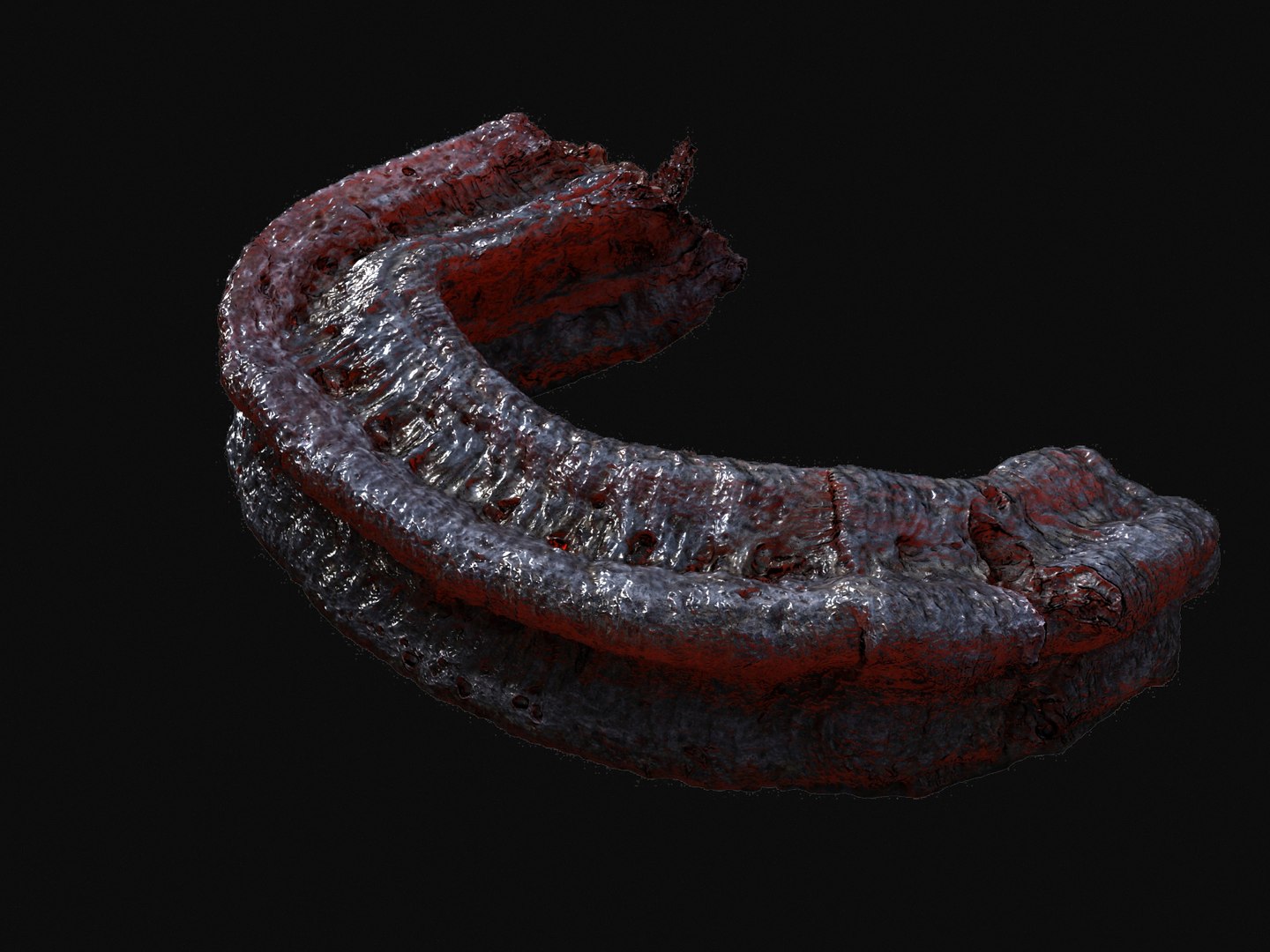 3d Alien Meat Tentacle