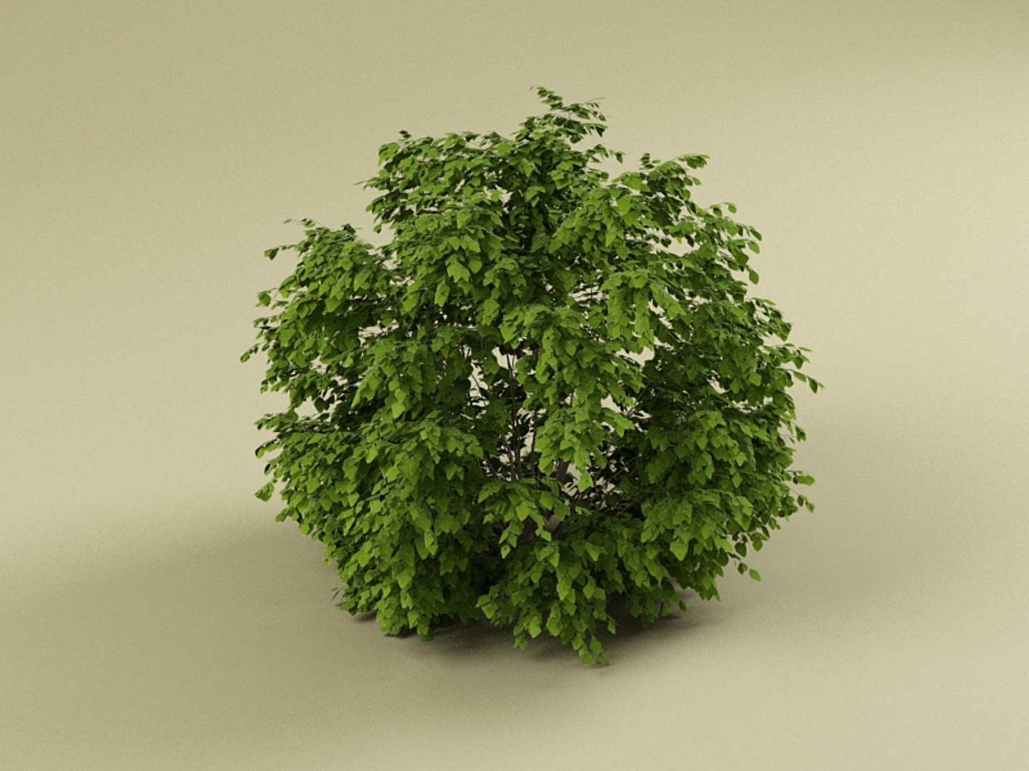 3d Model Bush Modelled