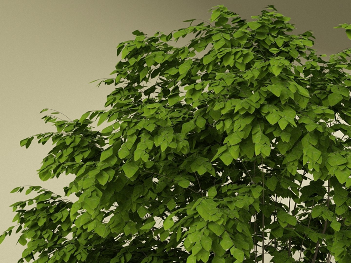 3d Model Bush Modelled