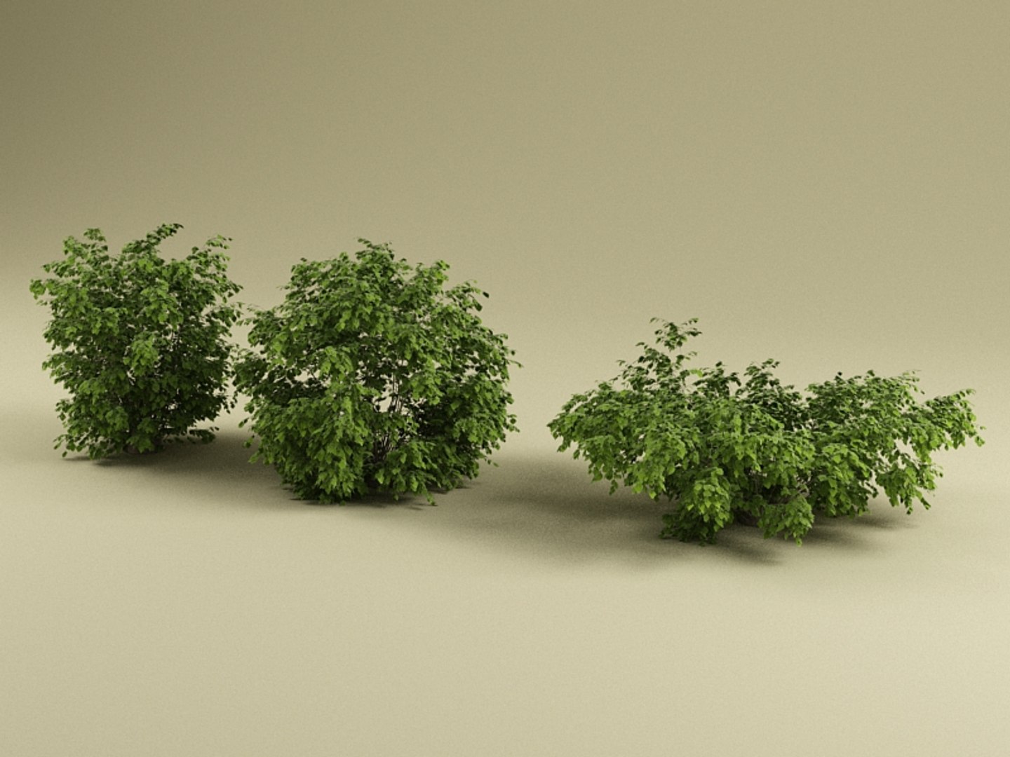3d Model Bush Modelled