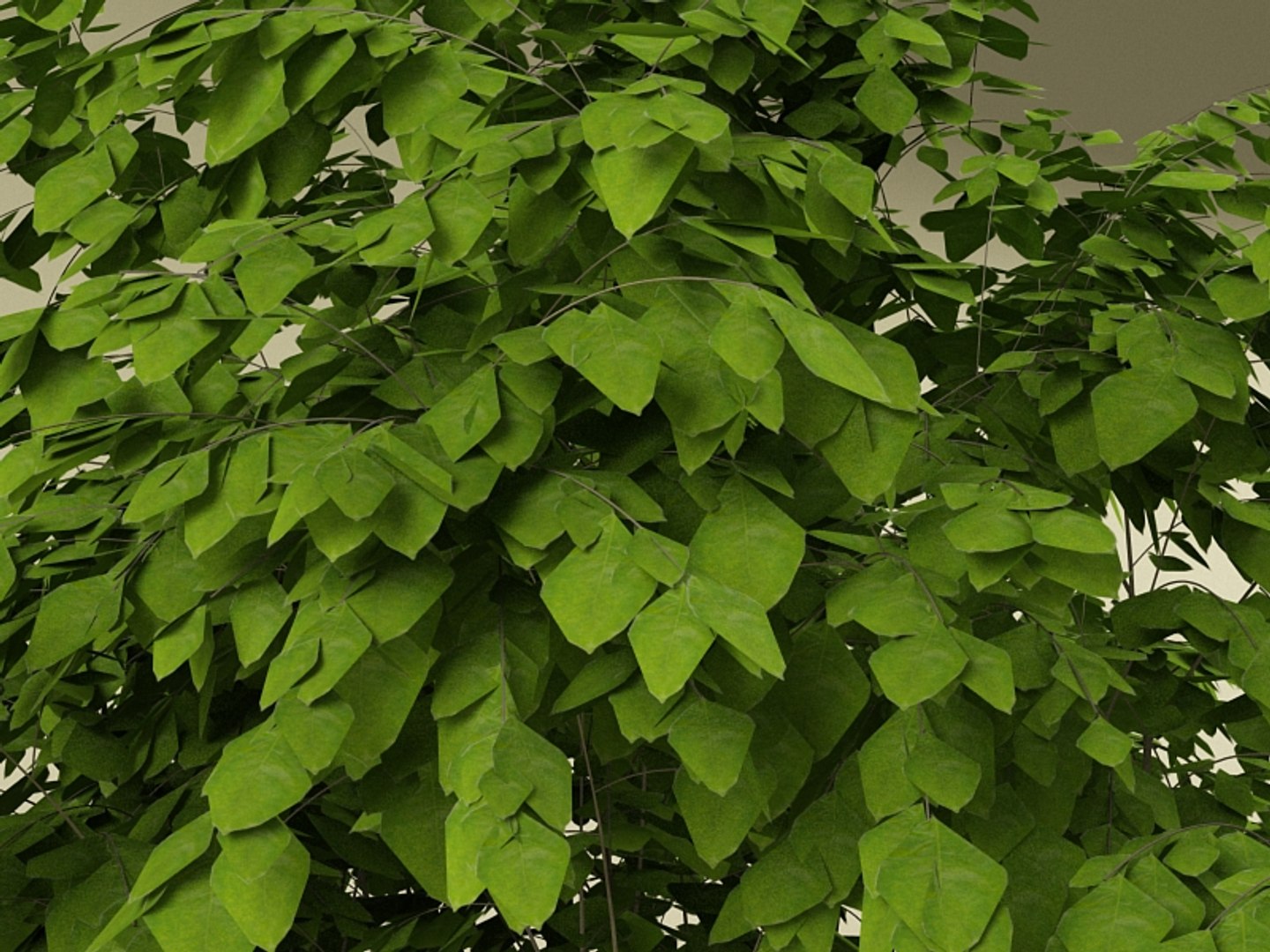 3d Model Bush Modelled