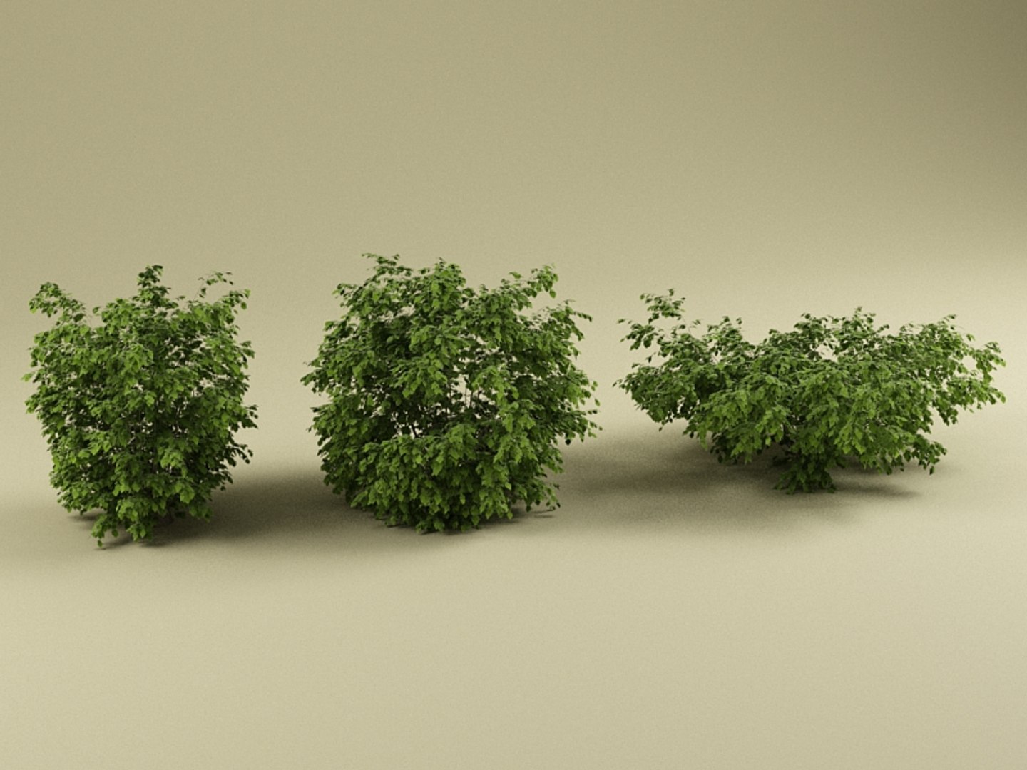 3d Model Bush Modelled