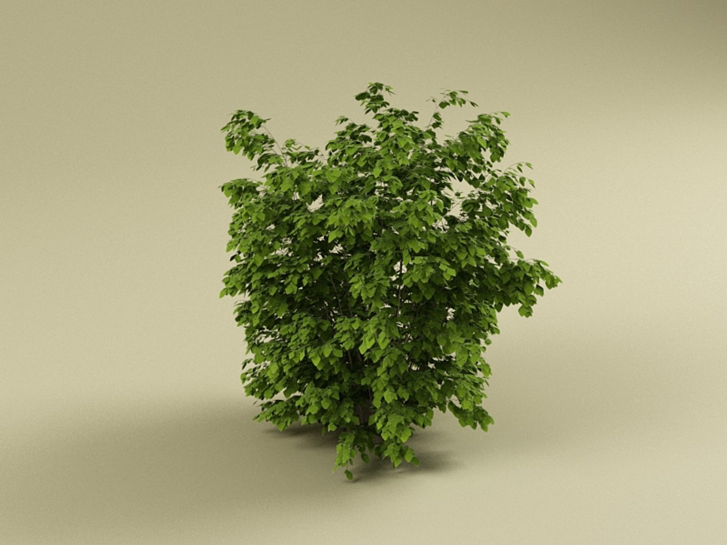 3d Model Bush Modelled