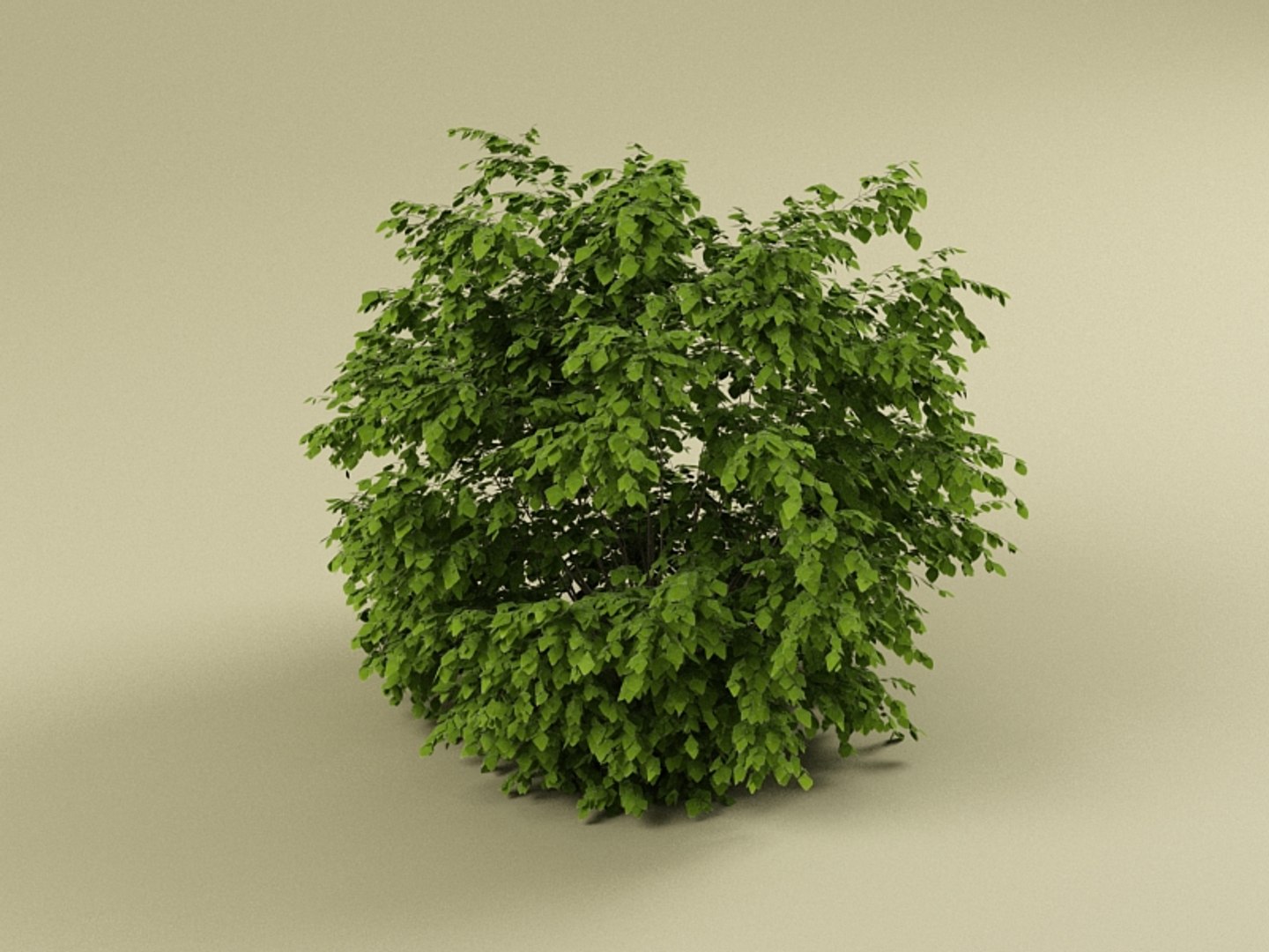 3d Model Bush Modelled